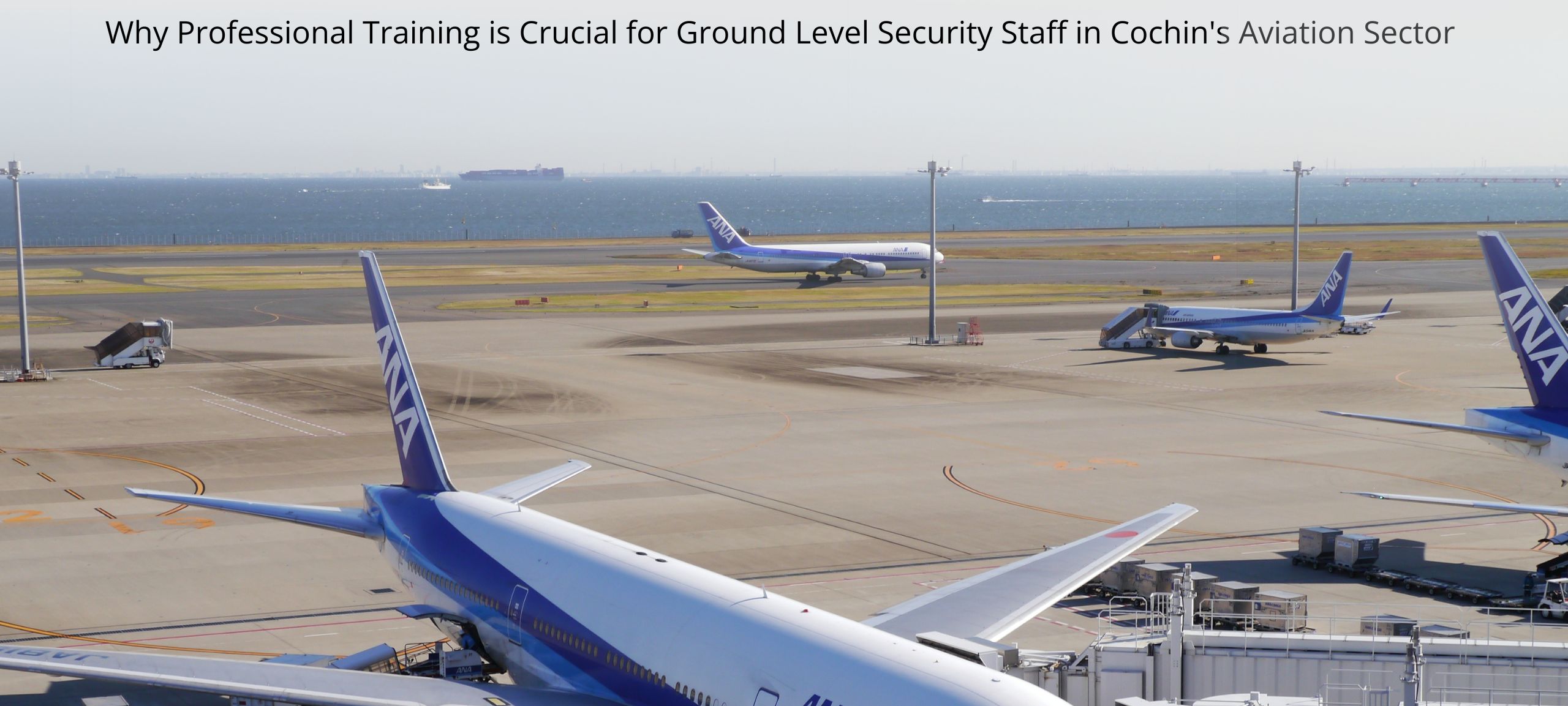 Why Professional Training is Crucial for Ground Level Security Staff in ...